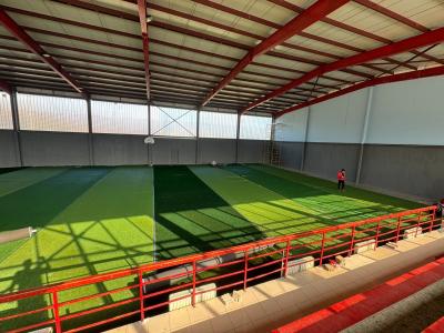 China 8-10 Years Life Span Artificial Football Pitches Project Install At Macedonia for sale