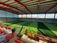 China Stem Shape Artificial Football Turf With Effective Drainage System for sale
