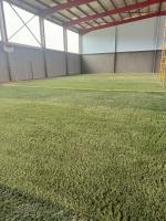 China 8-10 Years Life Span Artificial Football Pitches Project Install At Macedonia for sale