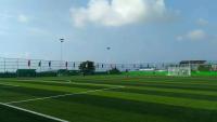 China Soccer Fields Synthetic Turf With  Rubber Granules Infill Material Located In Maldives for sale