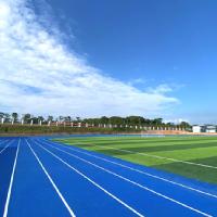 China Red and Blue Sports Track Rubber Interlocking Running Track for sale