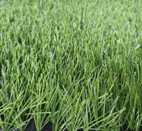China 4x25m PU Backing Artificial Football Pitches With Dtex 8000-15000 And Diamond Shape Yarn for sale