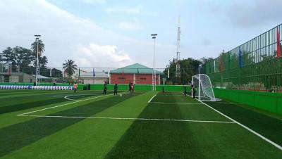 China Non-infill Grass Artificial Football Pitches For School for sale