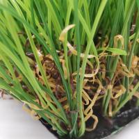 China 1.57 Inch Pile Height Artificial Grass Turf UV Resistant for sale