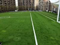 China Comfortable UV Resistant Artificial Grass Turf 7000-15000D Dtex Density PP Net SBR Latex for sale