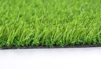 China Comfortable UV Resistant Artificial Grass Turf 7000-15000D Dtex Density PP Net SBR Latex for sale