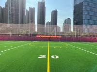 China Garden Artificial Turf Grass Dtex 7000-15000D Density 12600-21000 UV resistant Turf Grass for sale