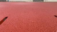 China High Friction IAAF Running Track For Bituminous Concrete Base Free Sample for sale
