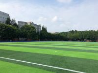 China Weaving Technique Artificial Grass Stem Shape Yarn Effective Drainage System for sale