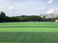 China Weaving Technique Artificial Grass Stem Shape Yarn Effective Drainage System for sale