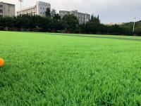 China Weaving Technique Artificial Grass Stem Shape Yarn Effective Drainage System for sale