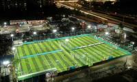 China 8000-15000 Dtex Stem Shape Artificial Football Turf With PP Net SBR Backing for sale