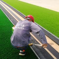 China 50mm Pile Height Artificial Football Pitch Disease Resistant Weaving Technique With Rubber Granules for sale