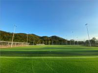 China 50mm Pile Height Artificial Football Pitch Disease Resistant Weaving Technique With Rubber Granules for sale