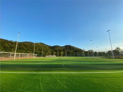 China 50mm Pile Height Artificial Football Pitch Disease Resistant Weaving Technique With Rubber Granules for sale