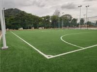 China 50mm Pile Height Artificial Football Pitch Disease Resistant Weaving Technique With Rubber Granules for sale