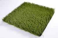China Premium Disease Resistant 50mm Pile Height China Synthetic Grass Football Pitch With PP Net SBR Backing for sale
