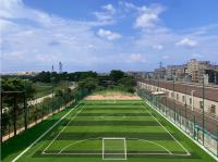China China Artificial Football Pitches 8000-15000 Dtex Efficient Drainage Rubber Granules / Quartz Sand for sale