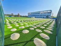 China Excellent Artificial Football Turf Dtex 8000-15000 Rubber Infill PP Net SBR Backing for sale