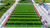 China Rubber Granule Football Pitch Turf 50mm Weaving Technique Artificial Grass Field for sale