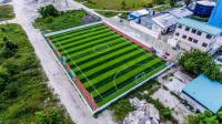 China Rubber Granule Football Pitch Turf 50mm Weaving Technique Artificial Grass Field for sale