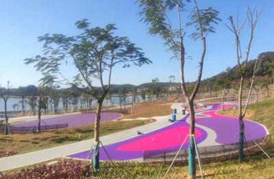China Customized Color EPDM Rubber Running Track Flexible Surface Easy Install Excellent Durability Shock Absorption for sale