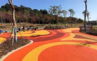 China Customized Color EPDM Rubber Running Track Flexible Surface Easy Install Excellent Durability Shock Absorption for sale