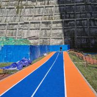 China Custom Easy Maitanance Easy Installation EPDM Rubber Running Track With Free Samples Easy Installation Custom Surface Color for sale