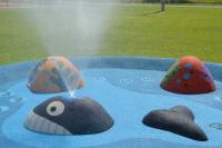 China Custom Colored EPDM Rubber PU Running Track With Excellent Durability And Shock Absorption UV Resistance for sale