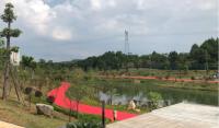 China Colorful Custom EPDM Rubber Running Track With Excellent Shock Absorption And Easy Installation for sale