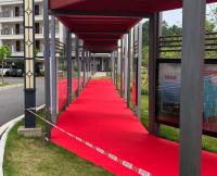 China Colorful Custom EPDM Rubber Running Track With Excellent Shock Absorption And Easy Installation for sale