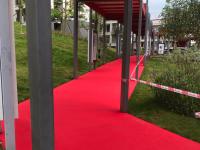 China Colorful Custom EPDM Rubber Running Track With Excellent Shock Absorption And Easy Installation for sale