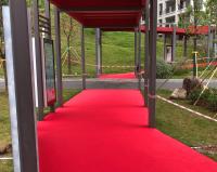 China Colorful Custom EPDM Rubber Running Track With Excellent Shock Absorption And Easy Installation for sale