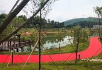 China Colorful Custom EPDM Rubber Running Track With Excellent Shock Absorption And Easy Installation for sale