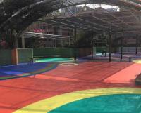 China Customized EPDM Rubber PU Running Track With Excellent Shock Absorption And UV Resistance for sale