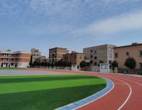 China 50mm Stem Shape Artificial Football Pitches With Effective Drainage System And Rubber Granules Infill for sale