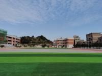 China 50mm Stem Shape Artificial Football Pitches With Effective Drainage System And Rubber Granules Infill for sale