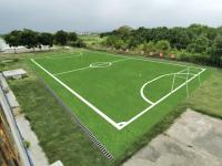China Dtex Stem Shape Artificial Football Turf For Disease Resistance for sale