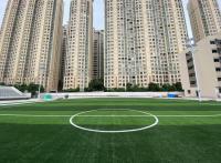 China Dtex Stem Shape Artificial Football Turf For Disease Resistance for sale