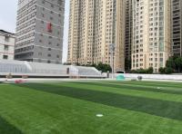 China Dtex Stem Shape Artificial Football Turf For Disease Resistance for sale