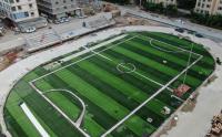 China Dtex Stem Shape Artificial Football Turf For Disease Resistance for sale