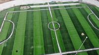 China Dtex Stem Shape Artificial Football Turf For Disease Resistance for sale