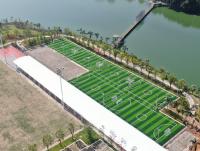 China Density 50mm Artificial Football Pitch With 16.5 Stitches For Optimal Playability for sale