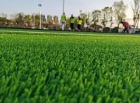 China Density 50mm Artificial Football Pitch With 16.5 Stitches For Optimal Playability for sale