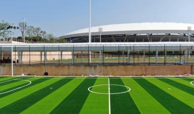 China Density 50mm Artificial Football Pitch With 16.5 Stitches For Optimal Playability for sale