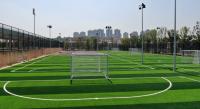 China Density 50mm Artificial Football Pitch With 16.5 Stitches For Optimal Playability for sale