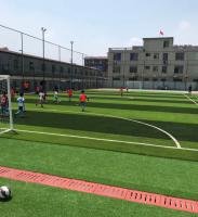 China 16.5 Stitch Artificial Football Turf With PP Net SBR Backing - Durable And High Quality Surface For Sports for sale