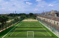 China 16.5 Stitch Artificial Football Turf With PP Net SBR Backing - Durable And High Quality Surface For Sports for sale