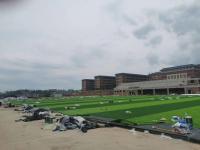 China Advanced Weaving Technique Synthetic Grass Field With Disease Resistant Yarn for sale