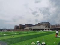 China Advanced Weaving Technique Synthetic Grass Field With Disease Resistant Yarn for sale